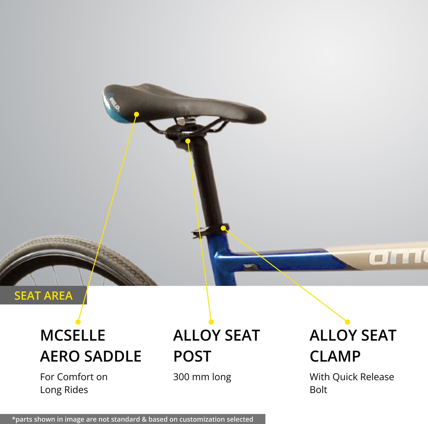 Munnar Road Bike Fast & Light,